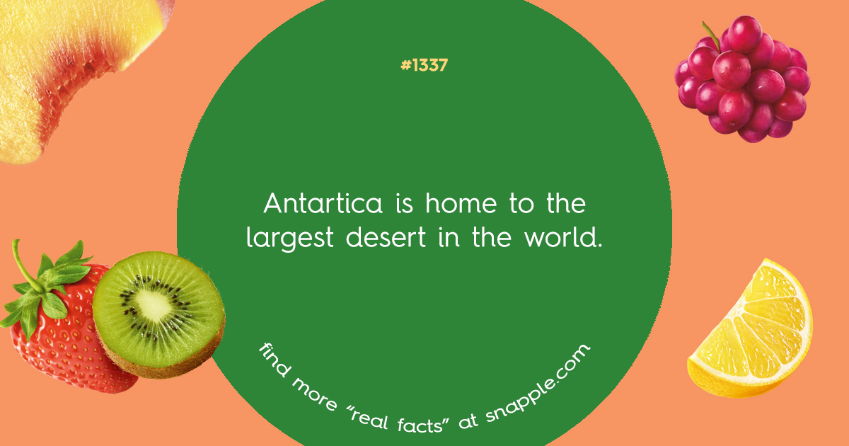 Explore Our Bottle Cap Real Facts #1337 | Snapple
