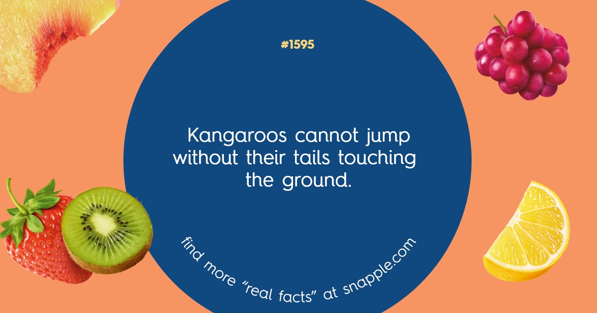 Explore Our Bottle Cap Real Facts #1595 | Snapple