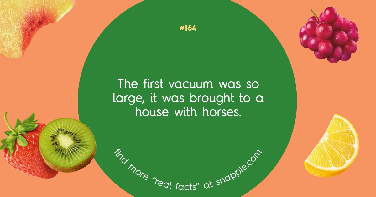 Explore Our Bottle Cap Real Facts #164 | Snapple