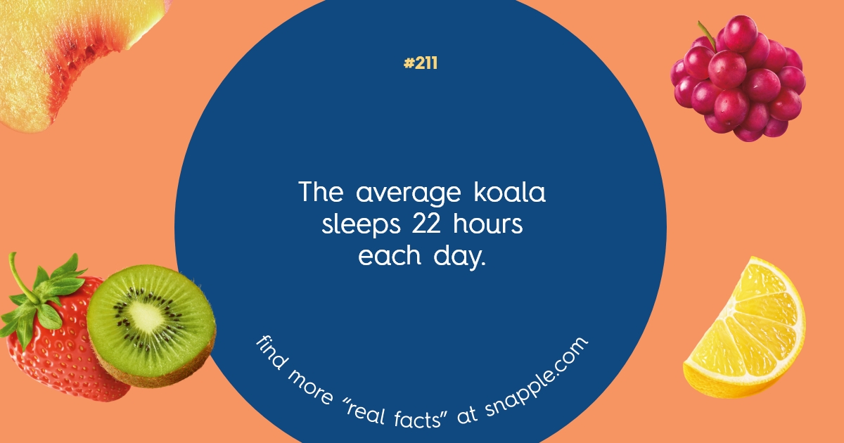 Explore Our Bottle Cap Real Facts #211 | Snapple