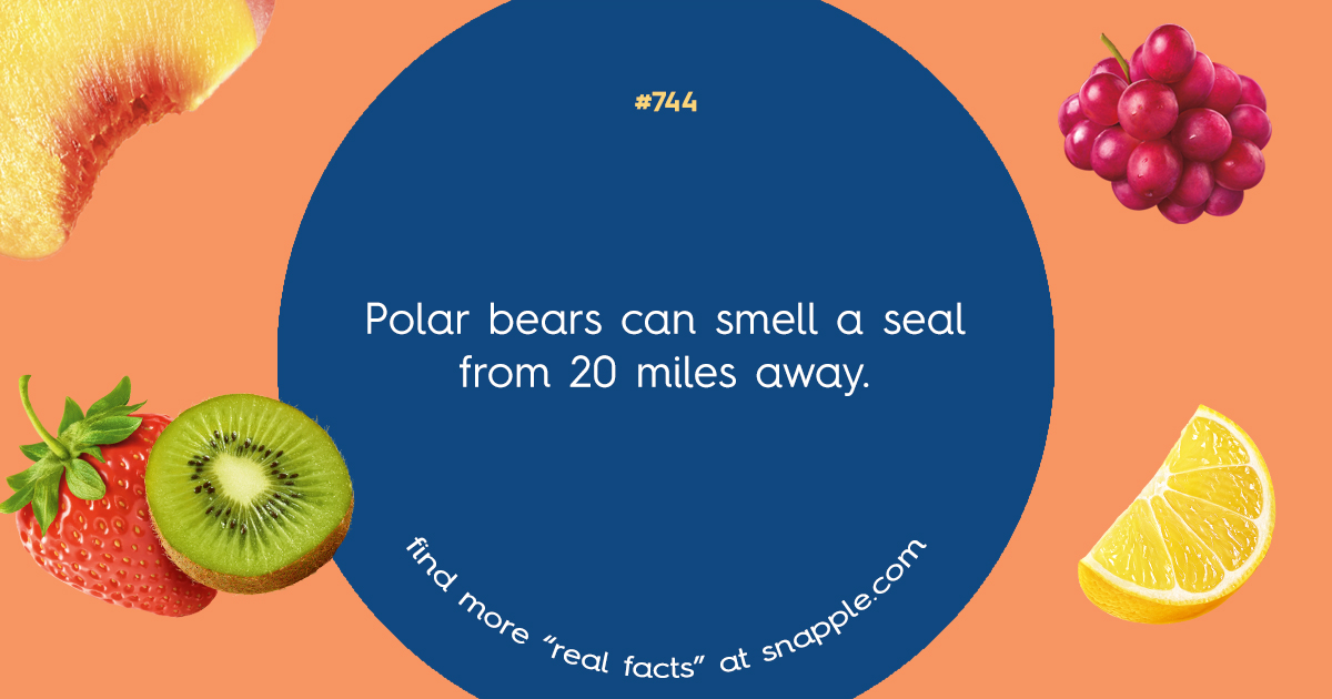 Explore Our Bottle Cap Real Facts #744 | Snapple