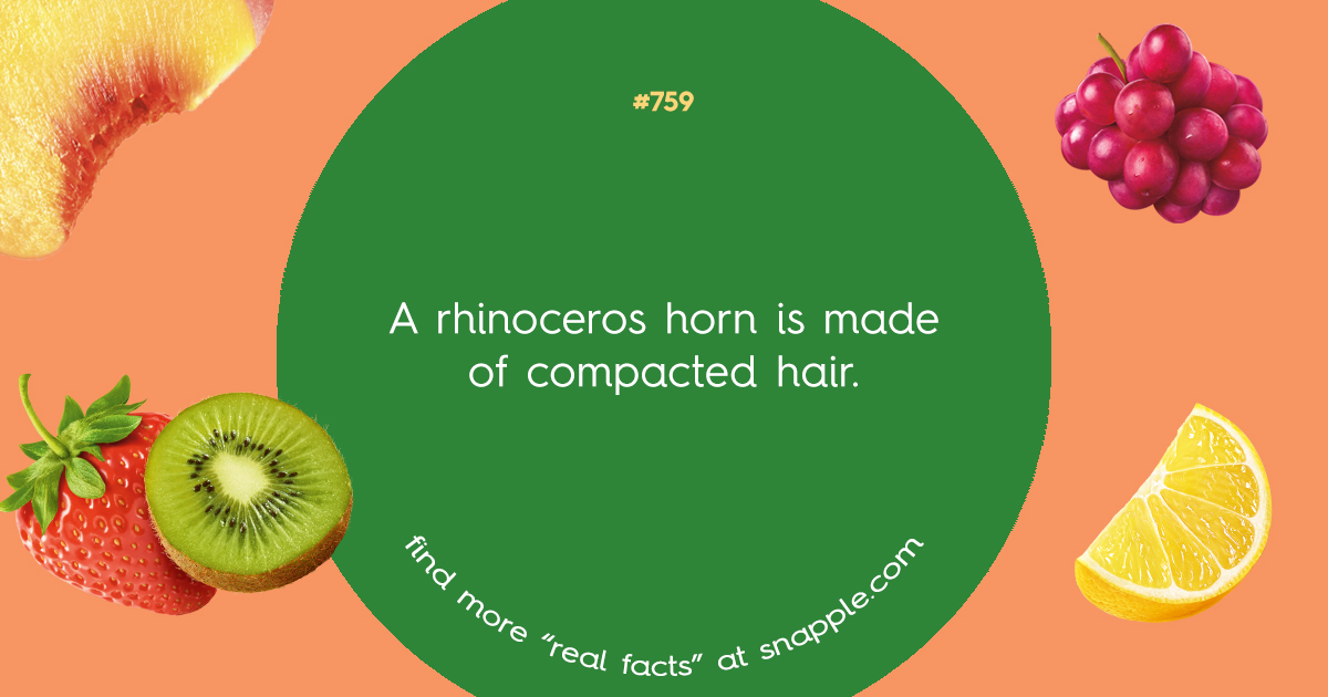 Explore Our Bottle Cap Real Facts #759 | Snapple