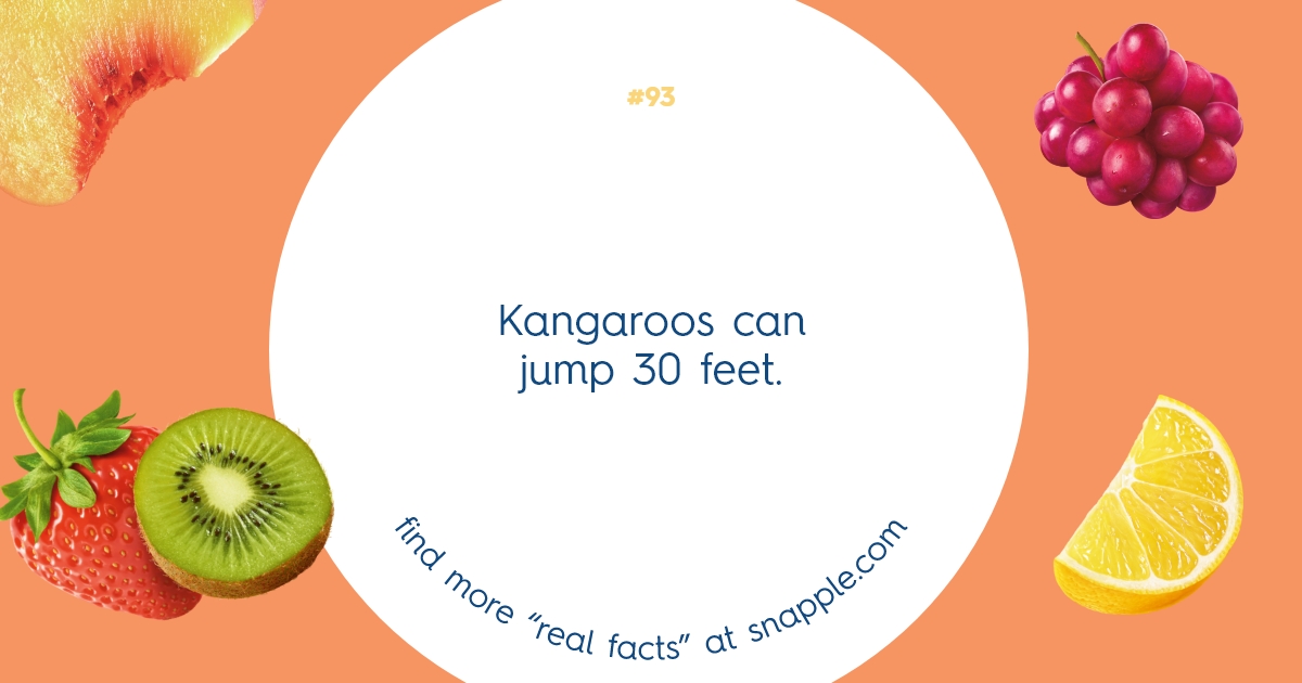 Explore Our Bottle Cap Real Facts #93 | Snapple